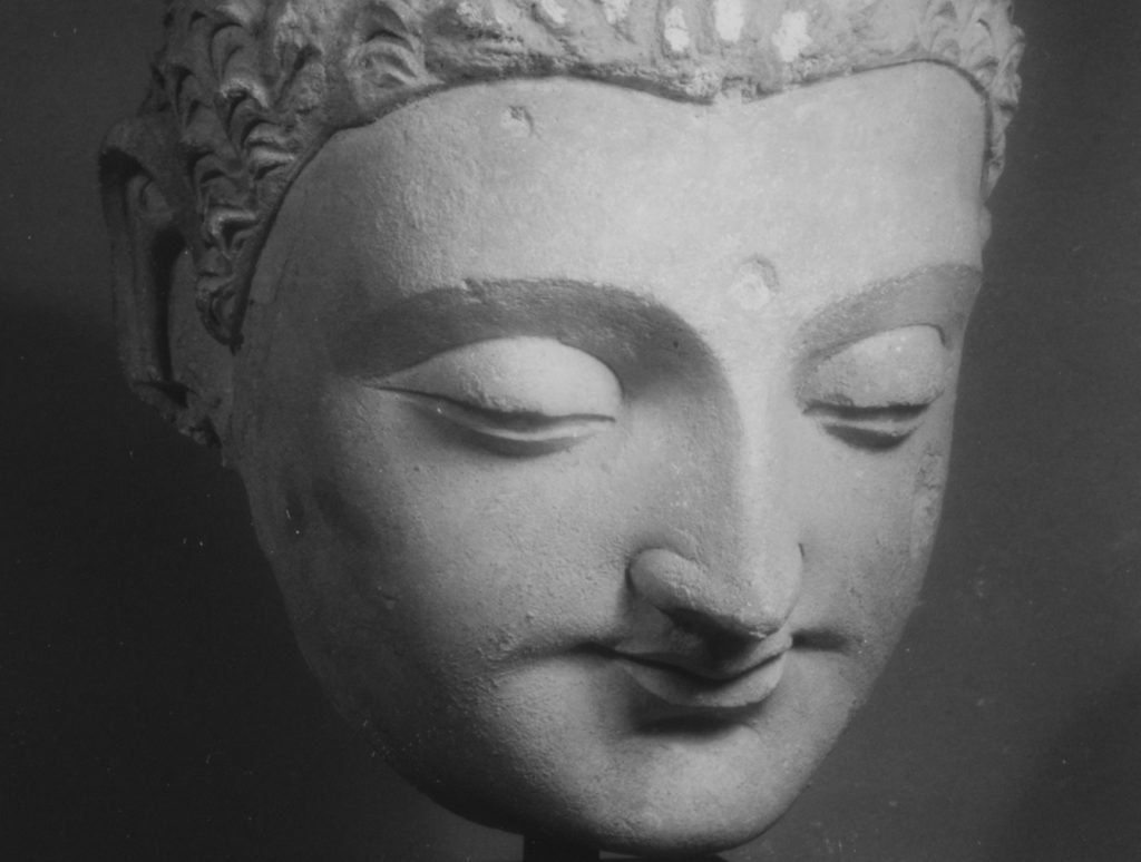 Monumental Head of Buddha: Gandhara – BuddhaRupa